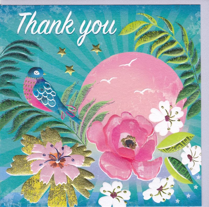 Bird Sun Thank You Card Karenza Paperie bird-sun-thank-you-card-karenza-paperie