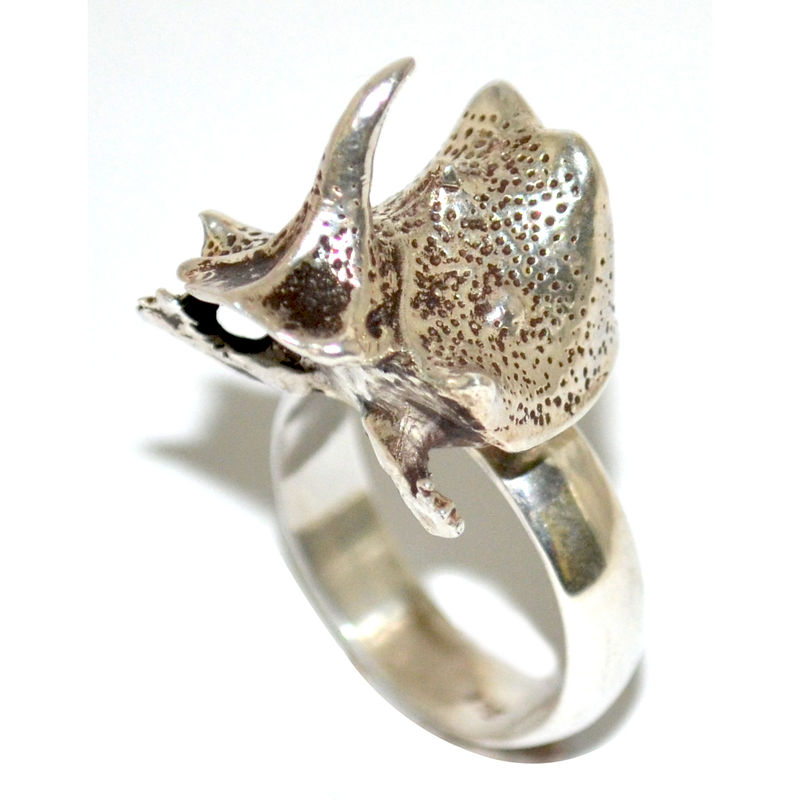 Rings Collection - Ndau Collection Store