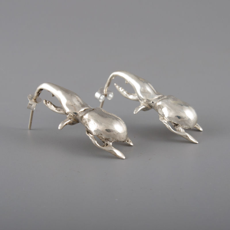 The Bug Range Collection - Ndau Collection Store