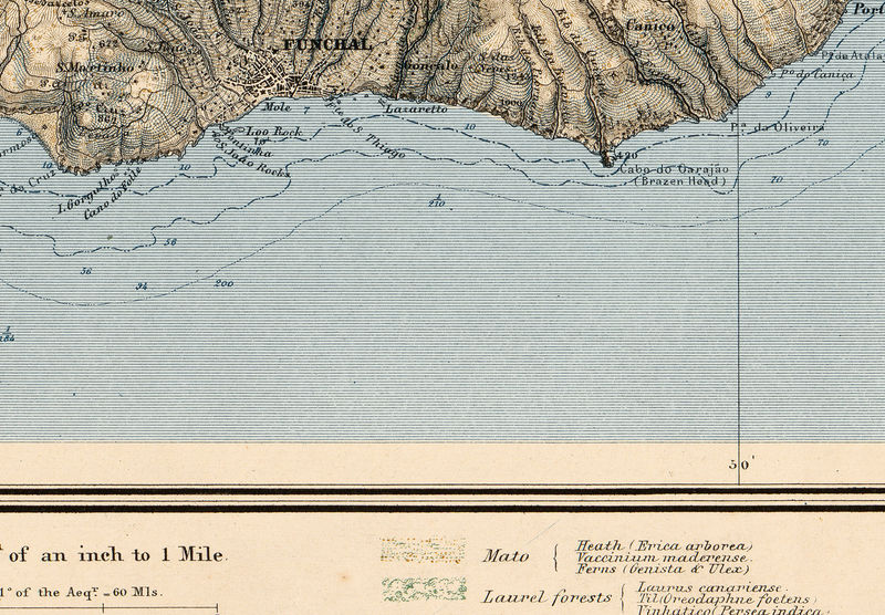 Old Map of Madeira Island 1850 Ilha da Madeira Vintage Map Wall Map ...