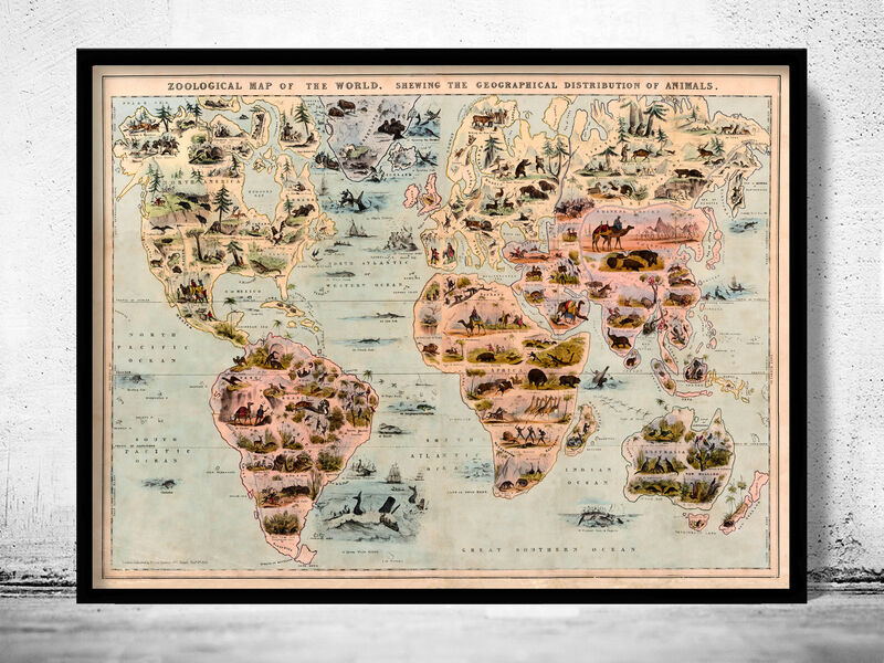 Vintage Maps and Prints - FINE RESTORED OLD MAPS