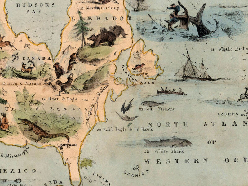 Old Zoological Map of The World 1844 Vintage Poster Wall Art Print ...