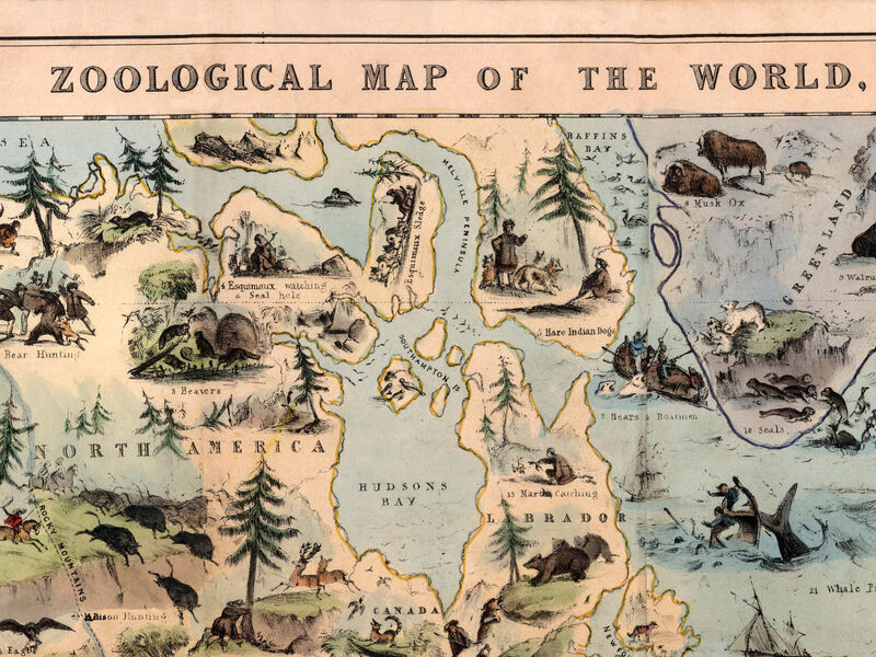 Old Zoological Map of The World 1844 Vintage Poster Wall Art Print ...
