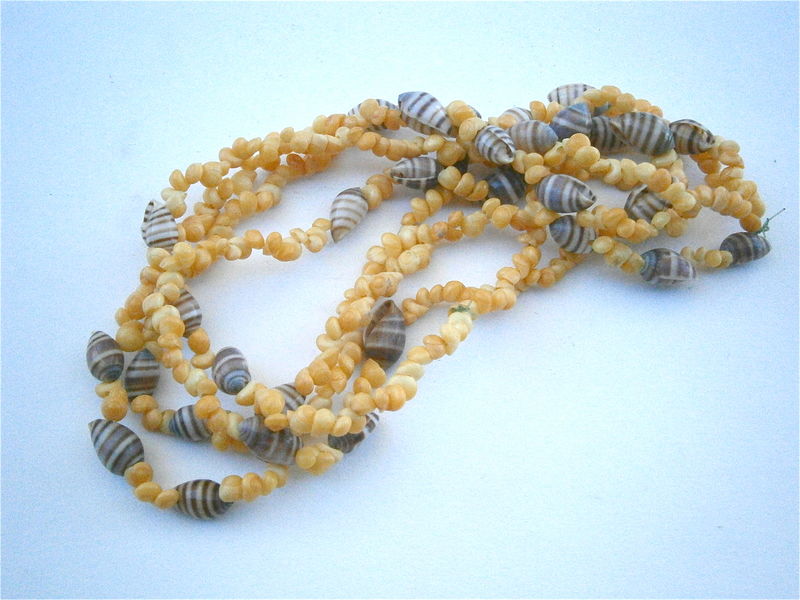 Vintage Yellow Hawaiian Lei Necklace Mongo Shells Littorina Seashells ...