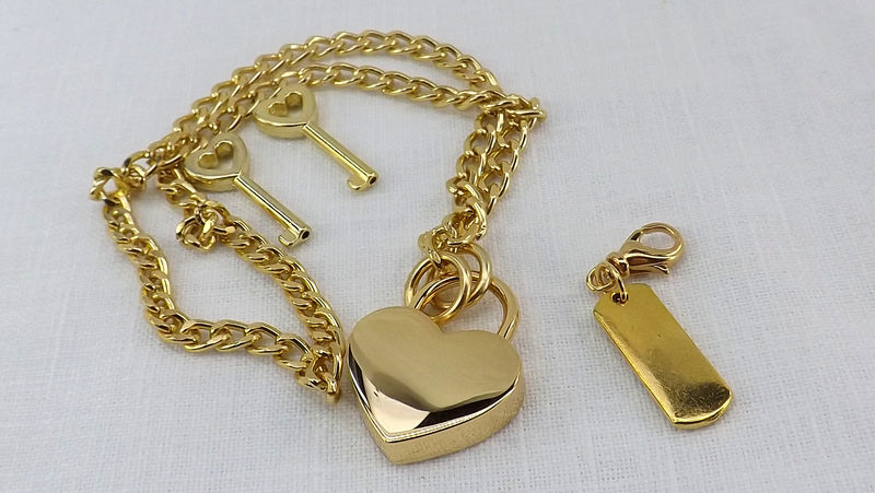 Protected and Locked Submissive Jewelry ddlg bdsm locking necklace ...