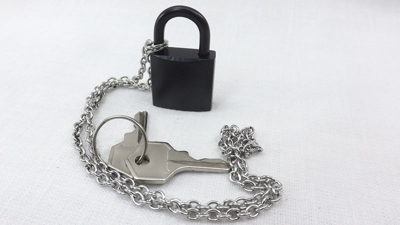 Stainless Steel Chain Black Lock Locking Jewelry - Pinch the Muse