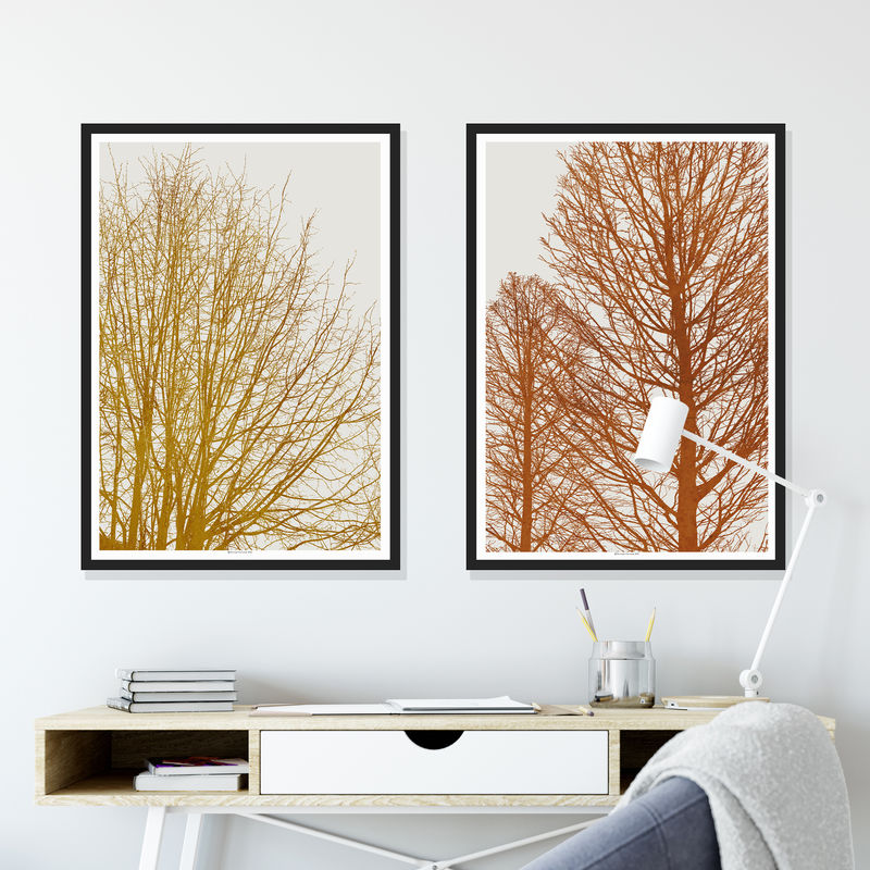 Architecture and Cityscapes