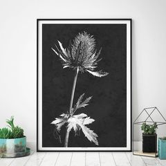 BRONAGH KENNEDY ART PRINTS