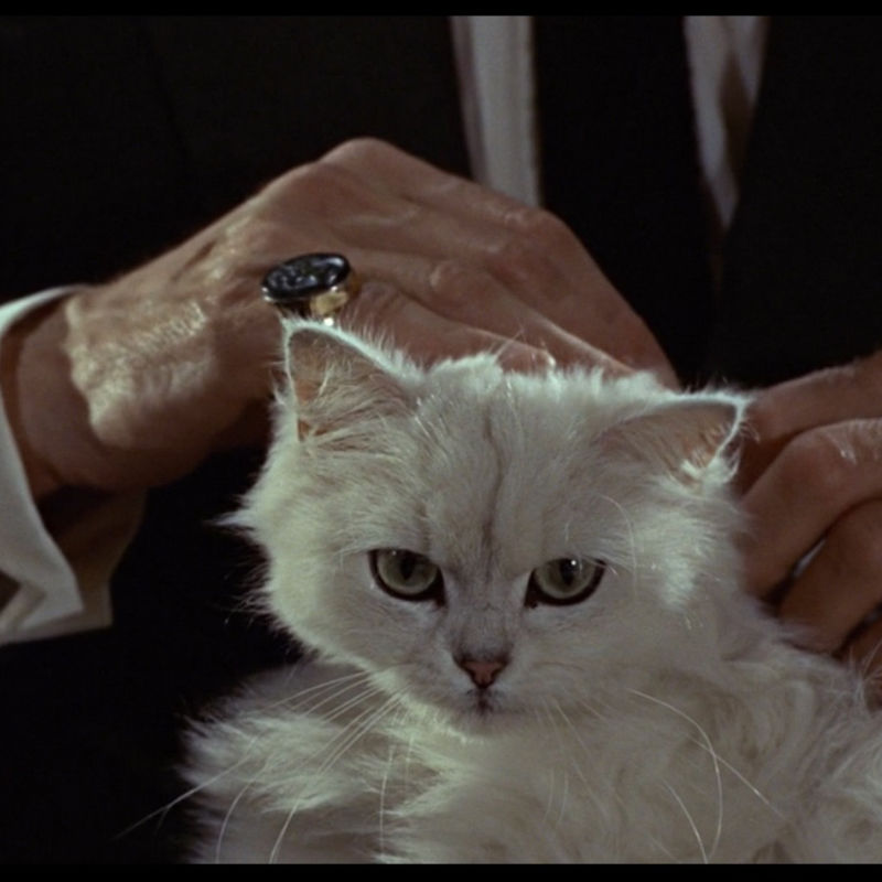 Inspired by Bond - Katerina Damilos Contemporary Jewellery