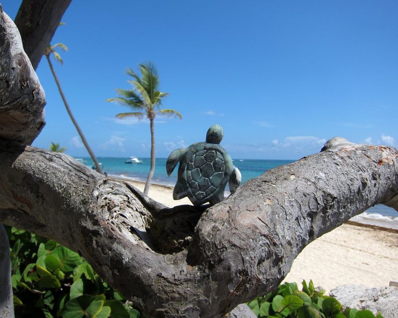 SOLD OUT - Carved Larimar turtle, Taino Turtle Spirit 2 - LarimarAndSilver