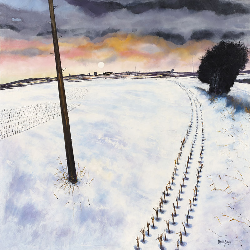 Oil Paintings Collection - David Evans