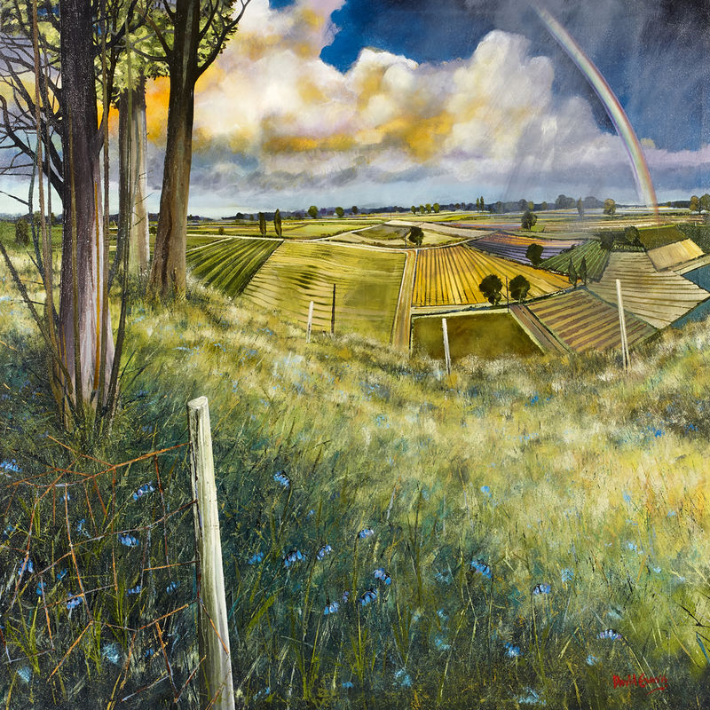 Oil Paintings Collection - David Evans