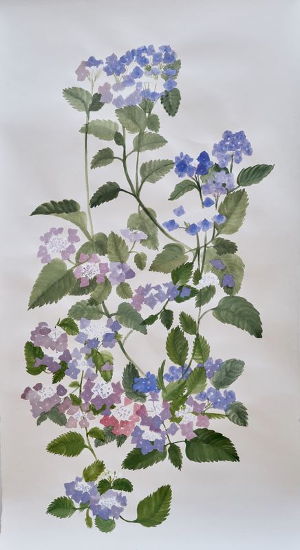 Home [www.annemckenzie.com]