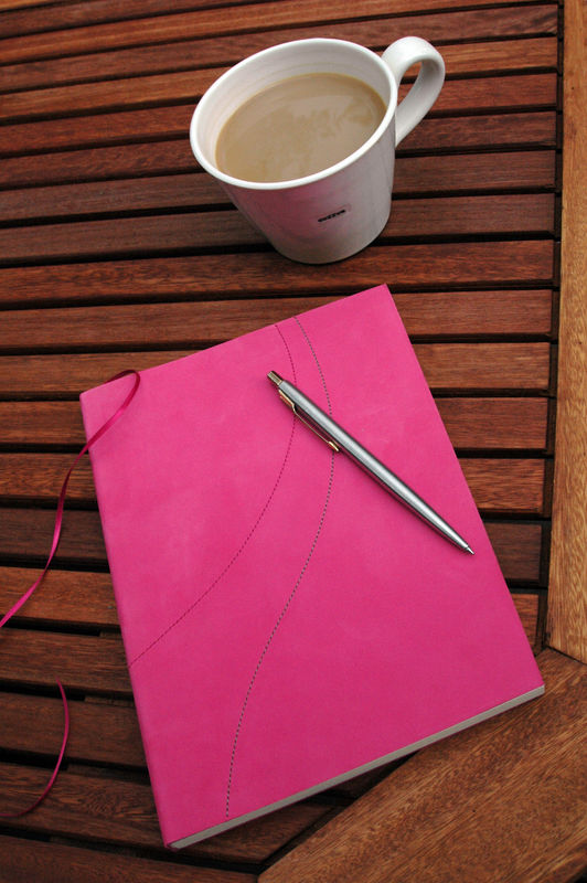 Definitely Not Straight (notebook) - Bookery