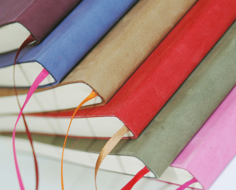 Definitely Not Straight (notebook) - Bookery