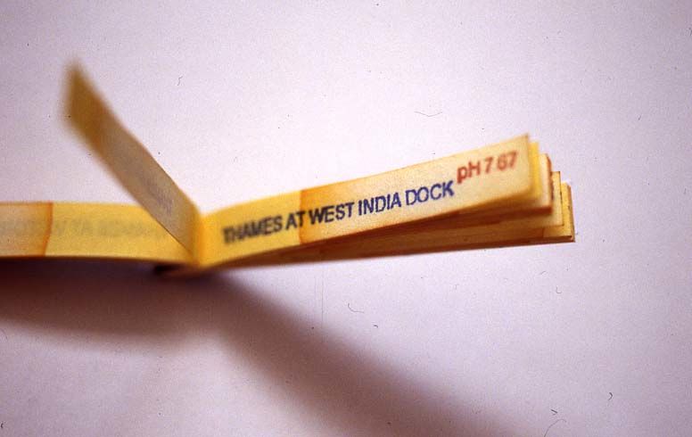 The Thames pH Book - Paper Butterfly Shop