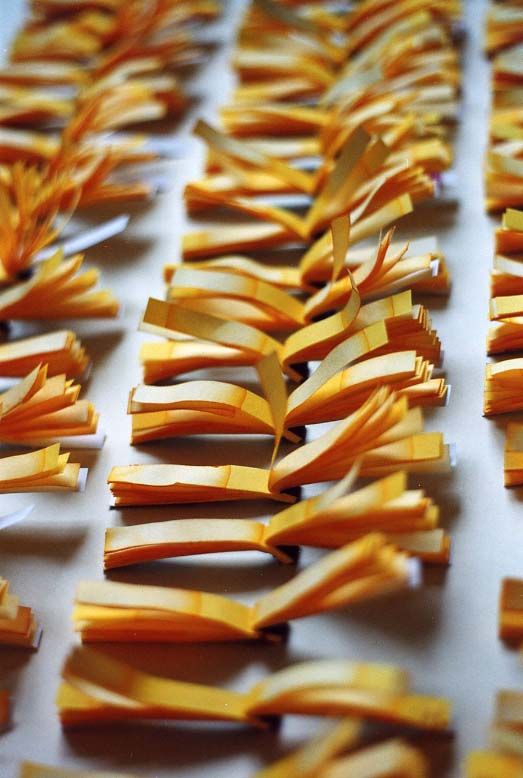 The Thames pH Book - Paper Butterfly Shop