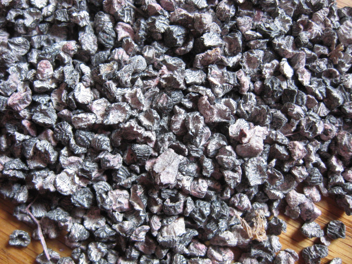 Cochineal Natural Dye, Whole Insects, Dactylopius coccus - Brush Creek ...