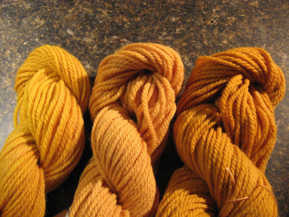 Fustic Chips, Chlorophora tinctoria, or Maclura tinctoria, Natural Dye ...