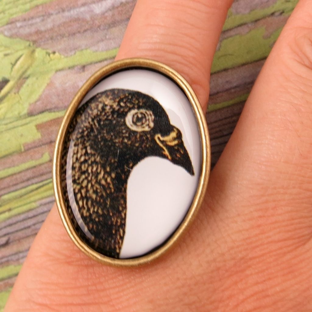 Beijo Brasil Natural World Resin Image Ring - Pigeon - TALICH