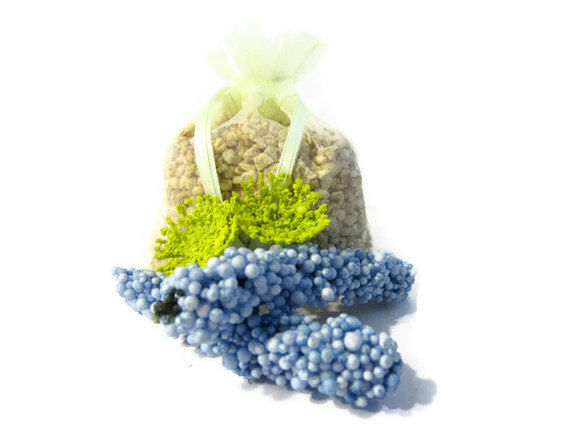 Cactus and Sea Salt Corn Cob Cellulose Fiber Aroma Sachet - Serendipity ...